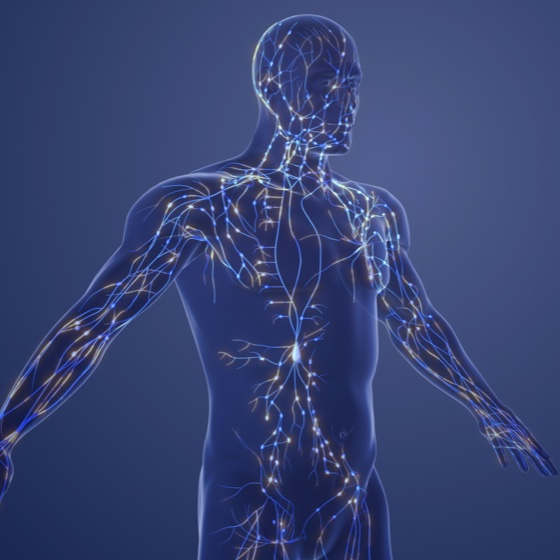 Where does prostate cancer spread first – Bones, Lymph Nodes or Organs ...